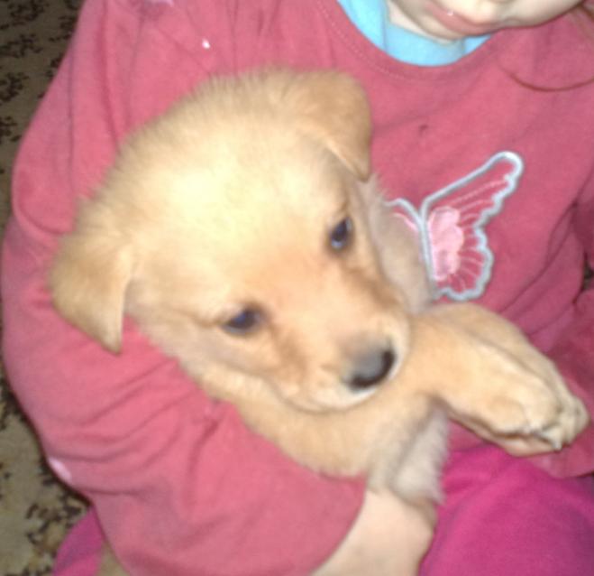 Labek - Przygarnij Zwierzaka - Radio BIELSKO